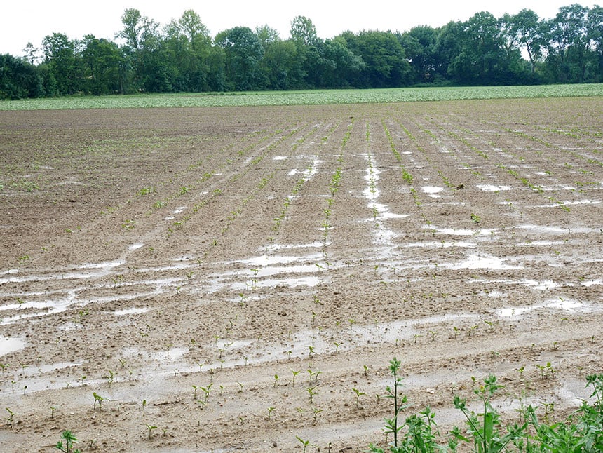 Comment mes pneus agricoles impactent le tassement des sols