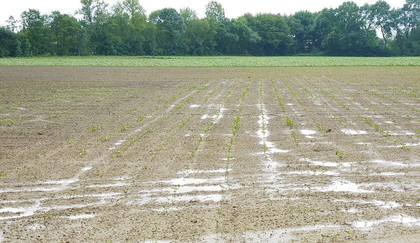 Tout savoir sur la récupération des sols après les récoltes